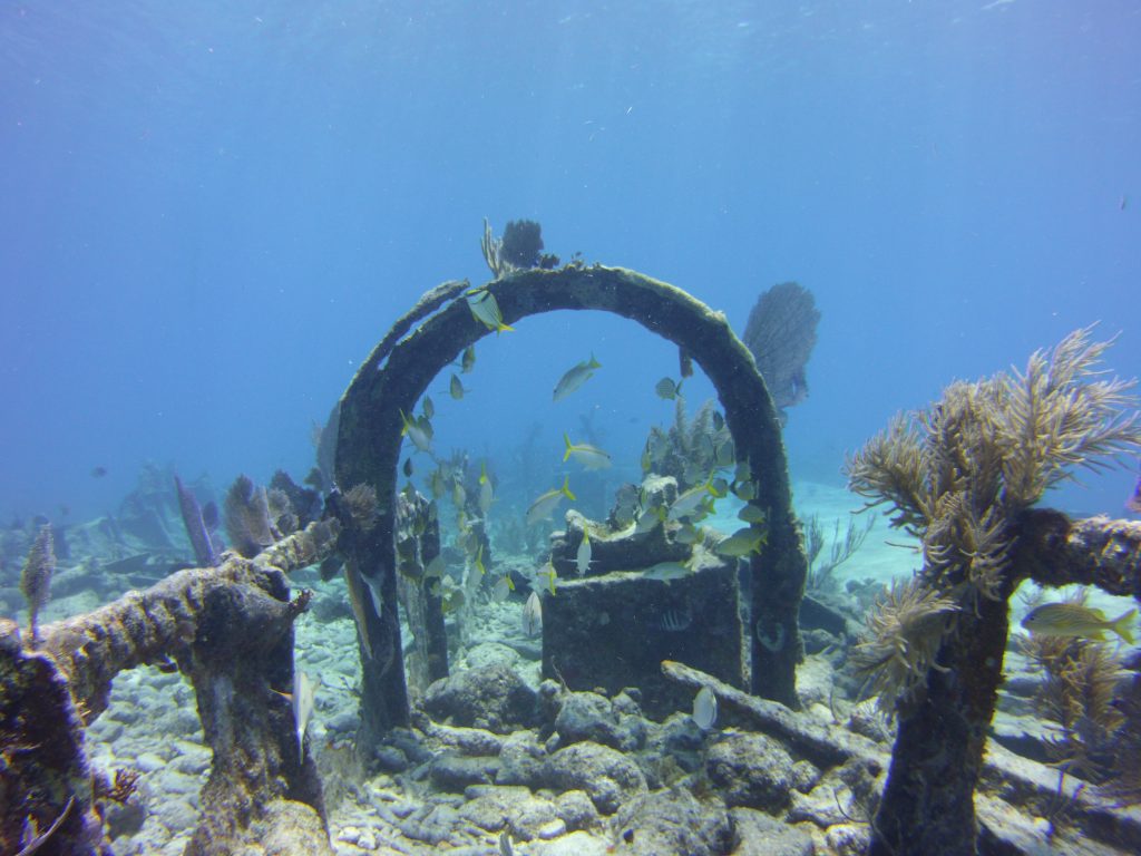 Best Key Largo Dive Sites | Island Ventures