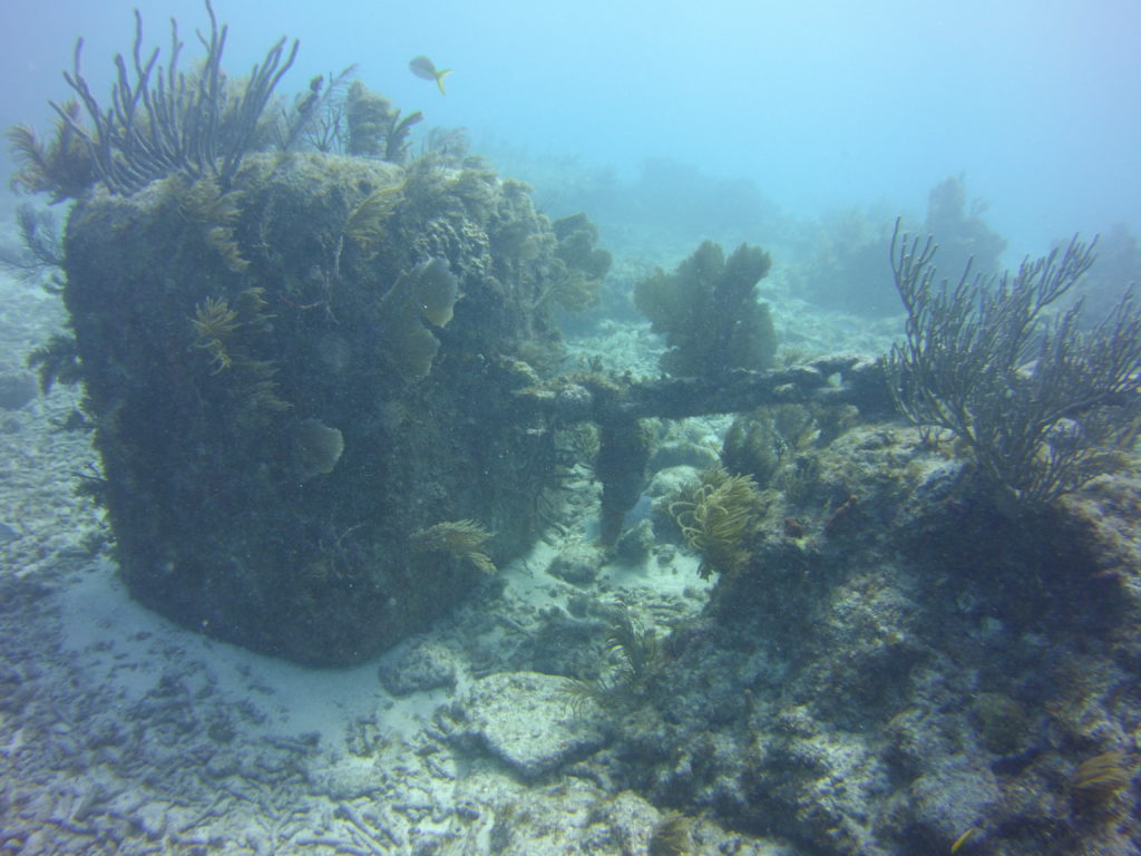 SCUBA dive the best Elbow Reef dive sites | Island Ventures