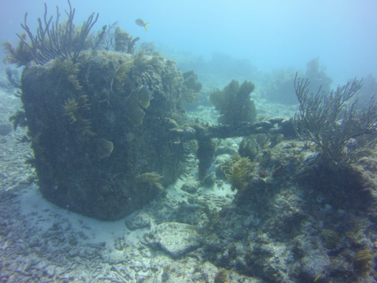 SCUBA dive the best Elbow Reef dive sites | Island Ventures