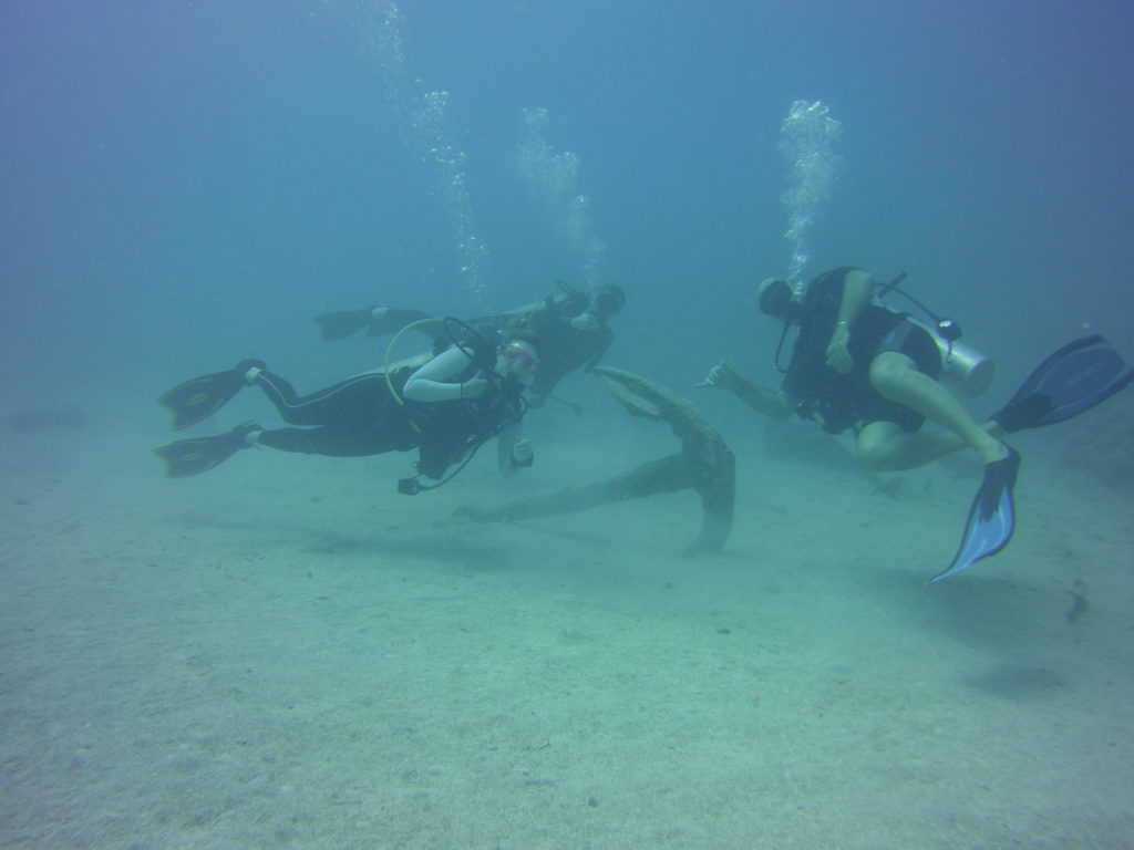 SCUBA dive the Beautiful Benwood shipwreck key largo