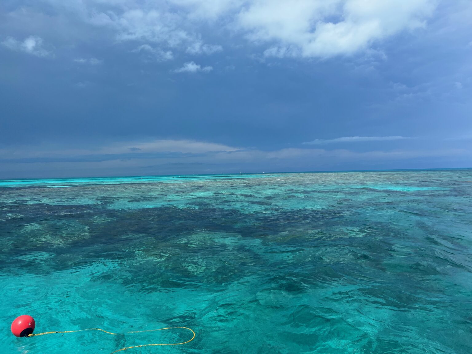 Best Key Largo Dive Sites | Island Ventures